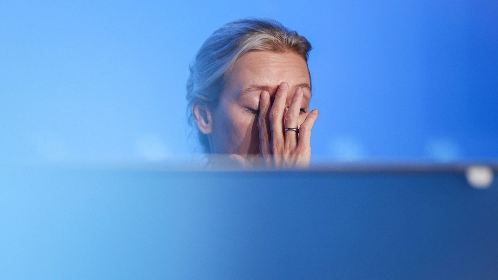 Hitler gerçekten komünist sosyalist bir adam mıydı Frau Weidel?